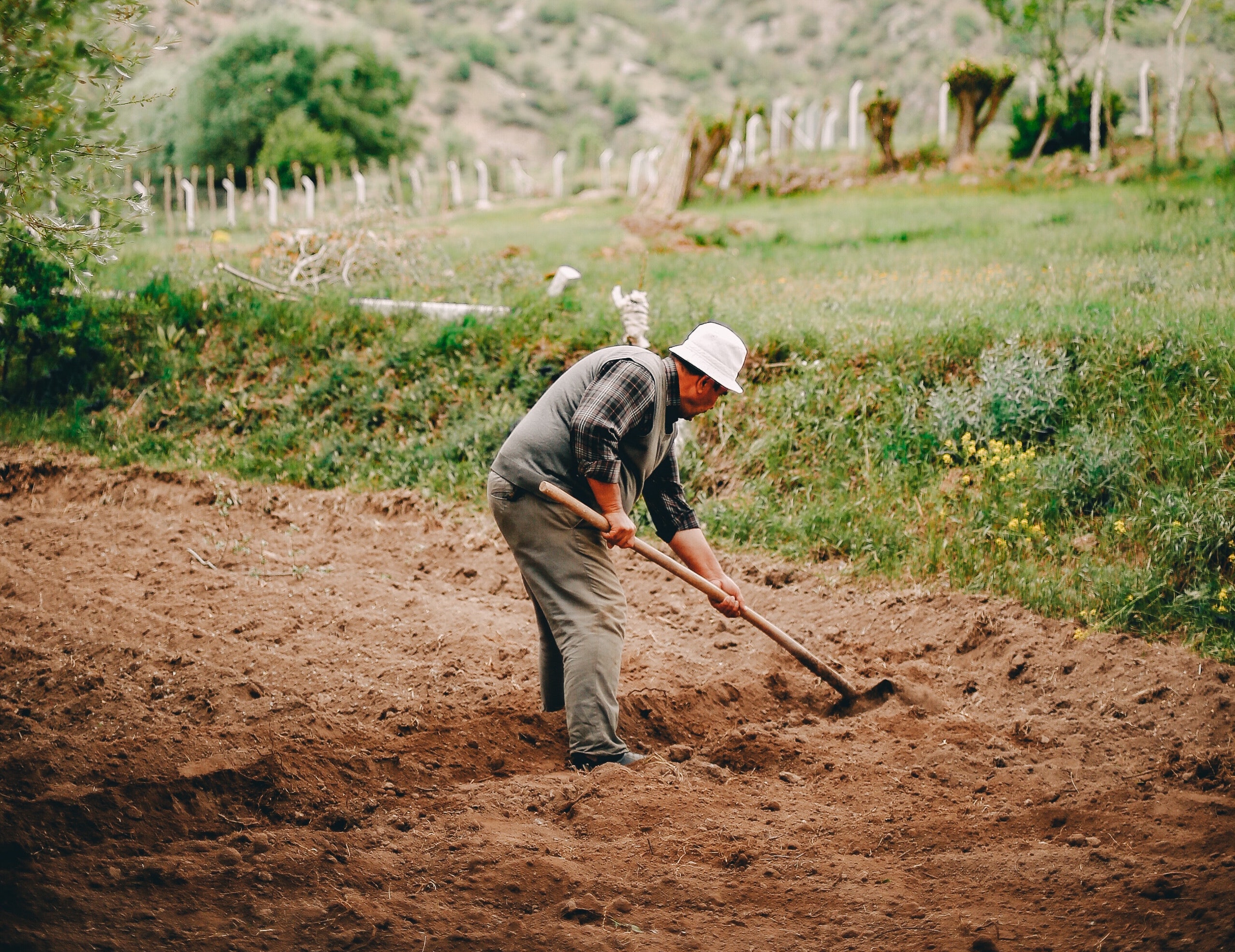 digging-into-value-2